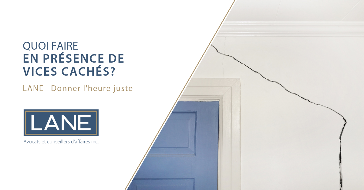 Quoi faire si vous découvrez des vices cachés ? | LANE, avocats et ...
